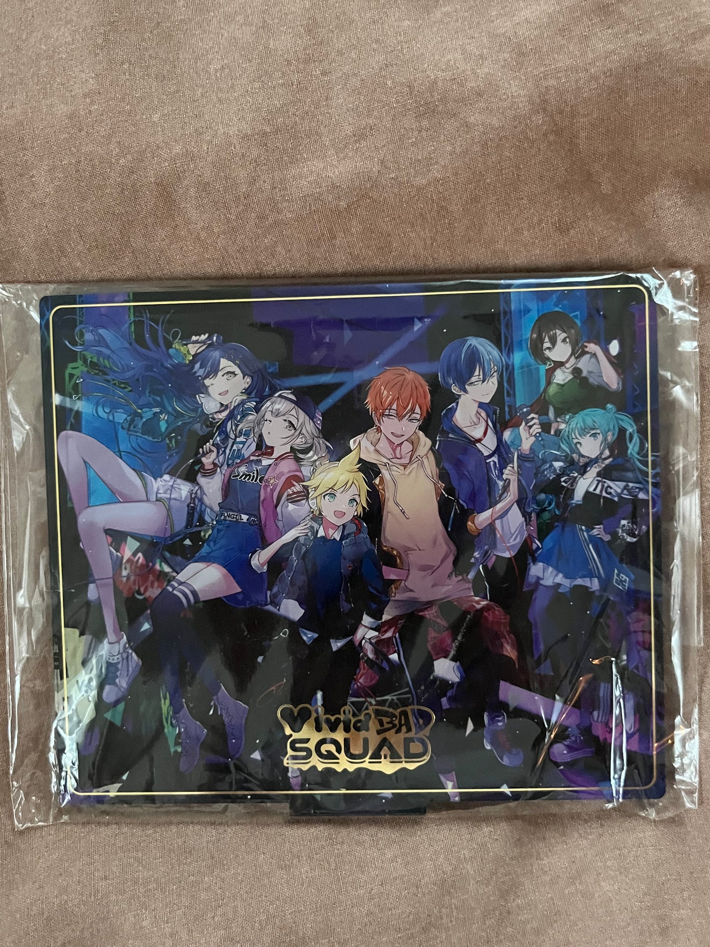Project Sekai - Vivid BAD SQUAD SEKAI ALBUM Vol.1 Acrylic Stand ...